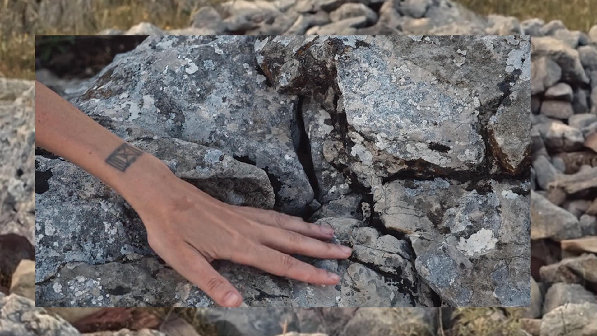 17. Documentarist'te Ödüller Sahiplerini Buldu - Altyazı Sinema Dergisi